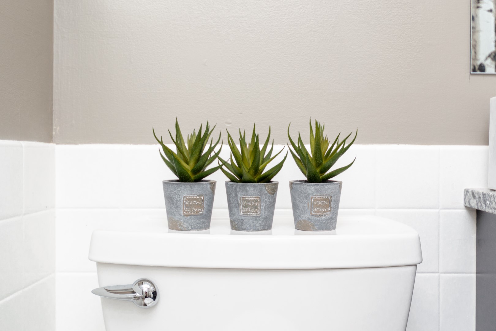 Gallery - The Birchway